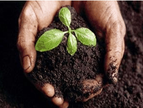 Beaufort Paranormal Community: Empat unsur kehidupan - tanah, api, air ...