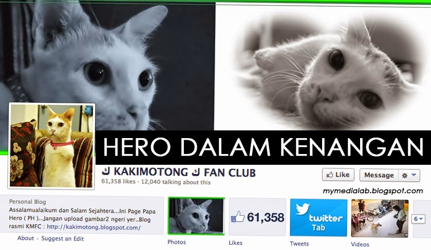 Hablulyuzi: HERO kucing yang dipotong kaki selamat menemui penciptaNya