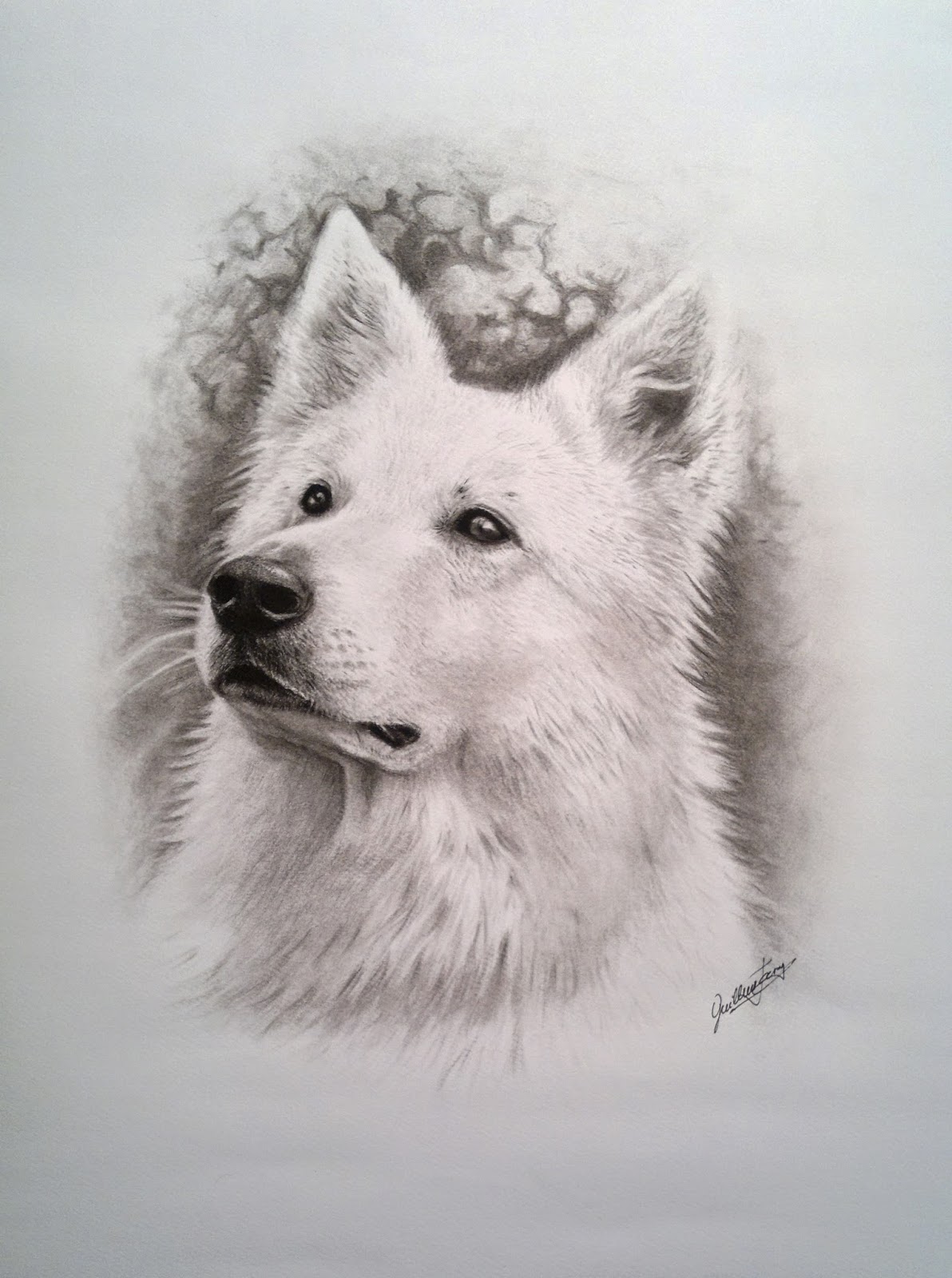 Guillermo Jara - Dibujo y Pintura Realista: abril 2014