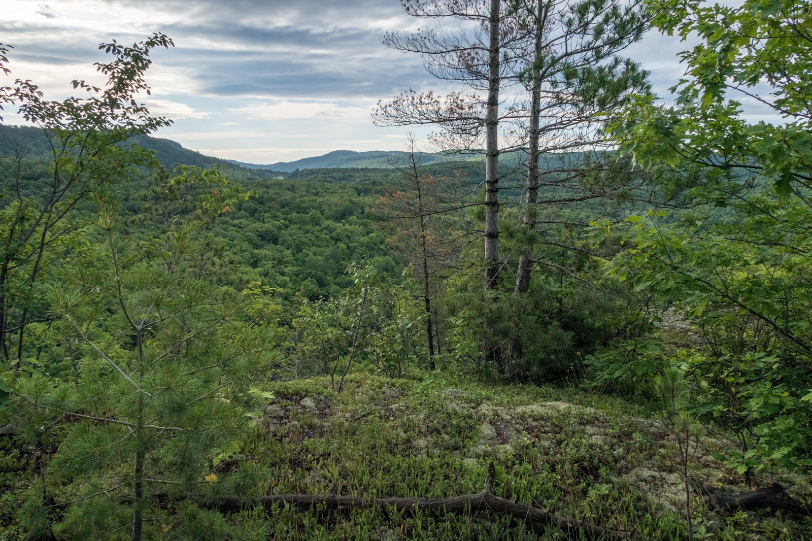 Eric's Hikes: Voyageur Trail: Harmony and Stokely Trails