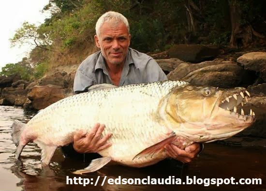 Blog Edson Cláudia: Goliath Tigerfish - O Peixe Gigante que Come ...
