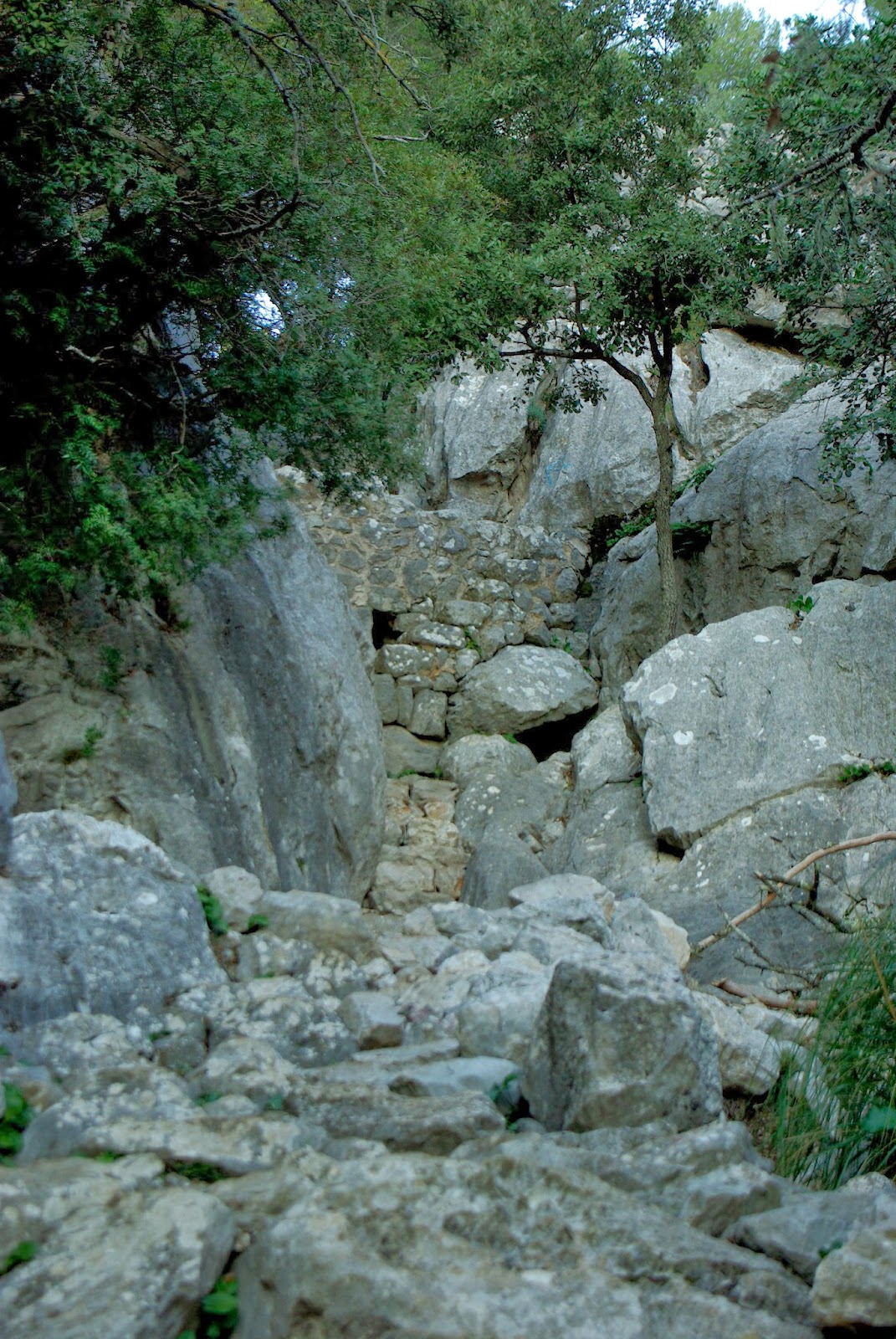 TRESQUES PER TRAMUNTANA: CINGLES DE SA TALAIA DE CAL REIS