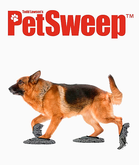 Three “MUST HAVE” Items Your DOG can't do Without! | BOLD and UNUSUAL ...