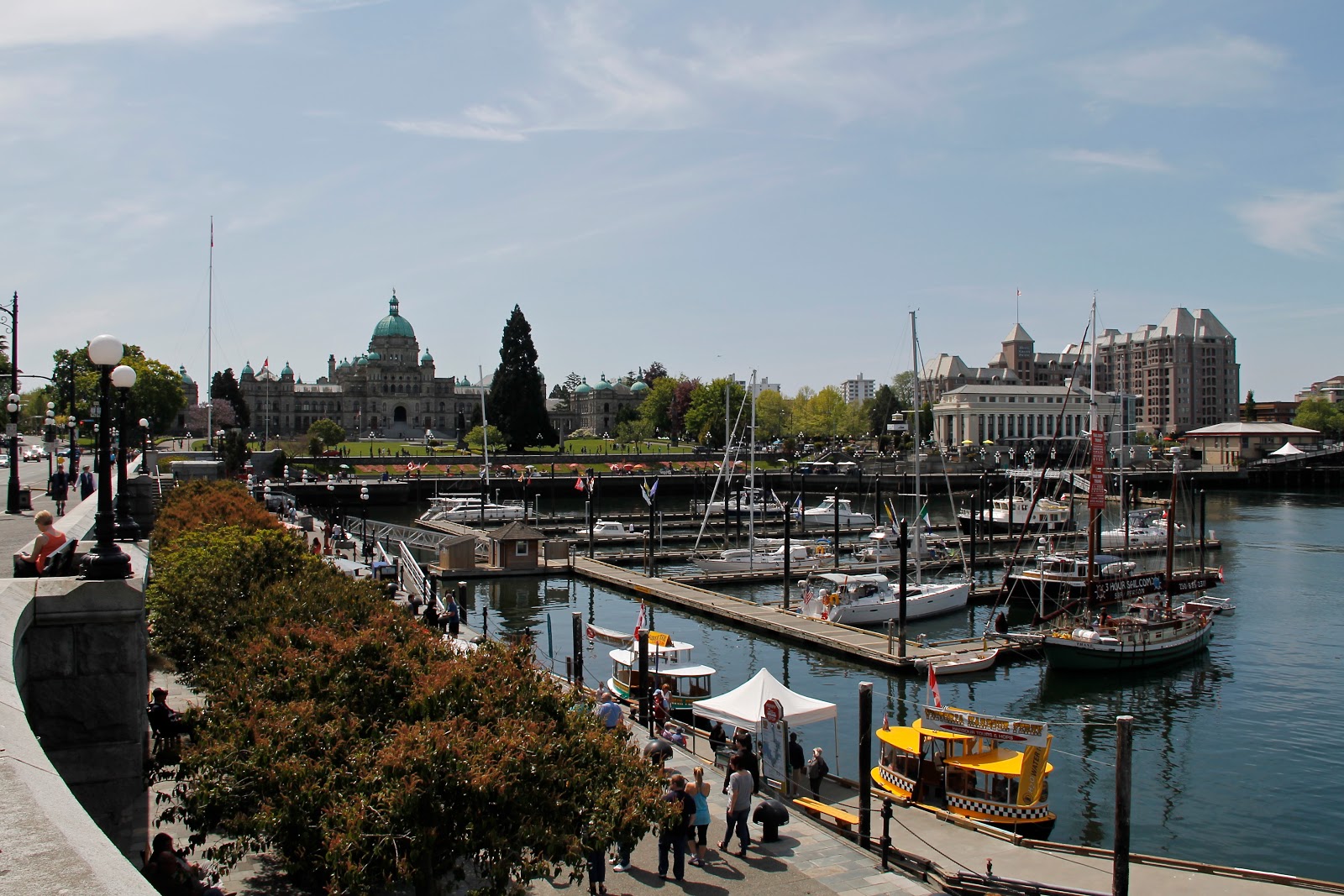 Bark and Purl: Victoria, BC