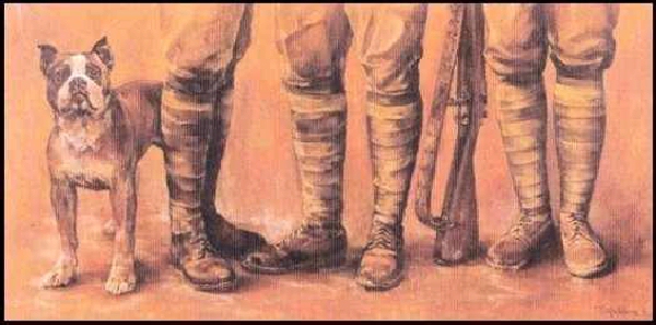 My Pet Rescue Blog: Sgt. Stubby - War Hero Dog