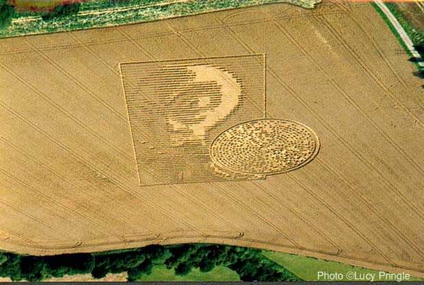 FORUM PSICOLOGOS: ¿Qué son los Crop Circles?