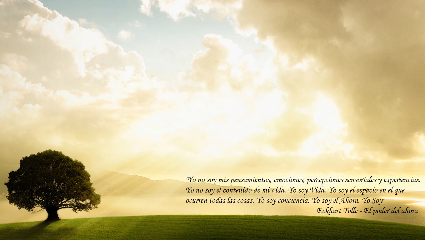 Rincon Zen - Espacio de Reiki + Reflexología + Aqualead: Frase del dìa ...