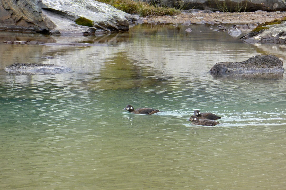 Another Side of this Life: 2018