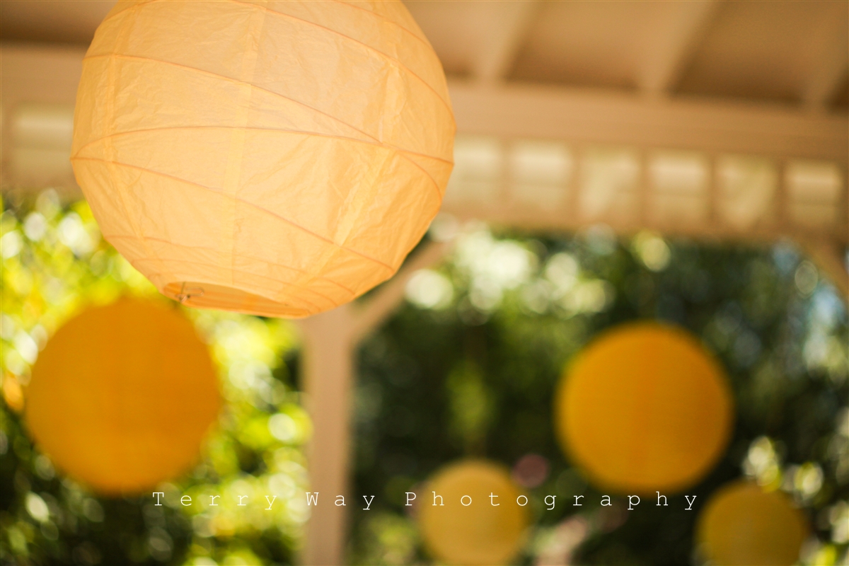Terry Way Photography Santa Cruz Photographer: Rancho Soquel Wedding ...
