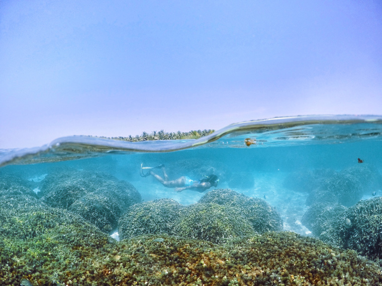 6 REASONS HOW DO I FALL IN LOVE WITH THODDOO ISLAND, MALDIVES ...