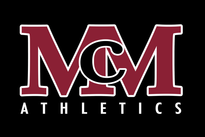 The Sports Logo Pundit