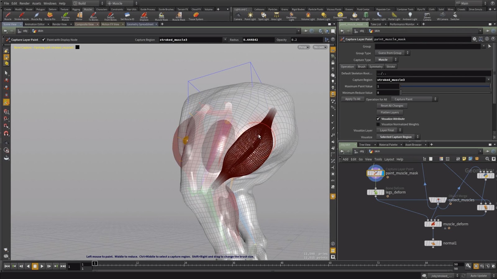 Muscles Overview | Houdini 16 Masterclass | CG TUTORIAL