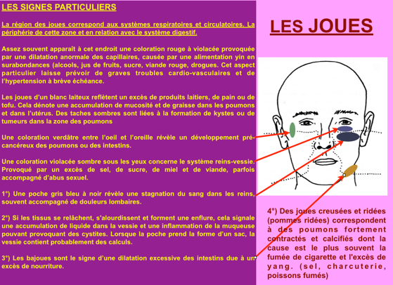 ALERTE VOTRE CORPS VOUS PARLE: N°6 - LE NEZ, LES JOUES, LA BOUCHE ET ...