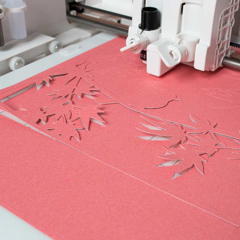 Samantha Walker's Imaginary World: Finally Got to Meet Jamie!!!