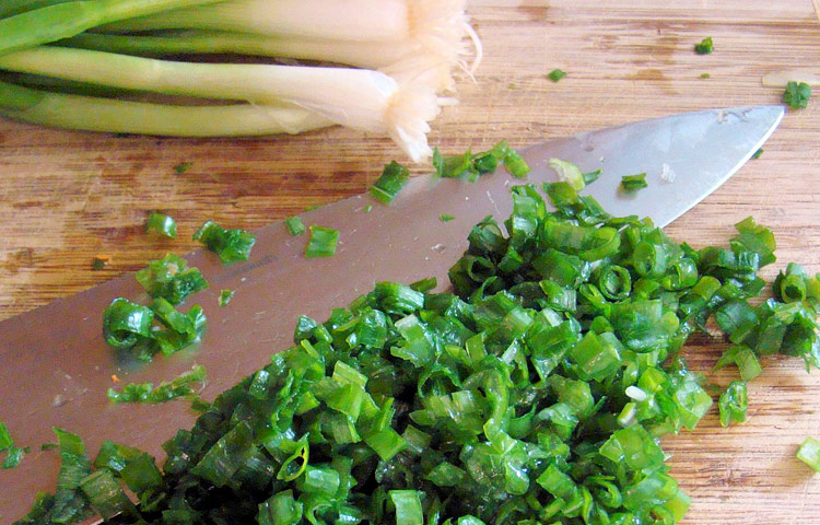 Mi Huerto Urbano: Cultivo de Cebollin