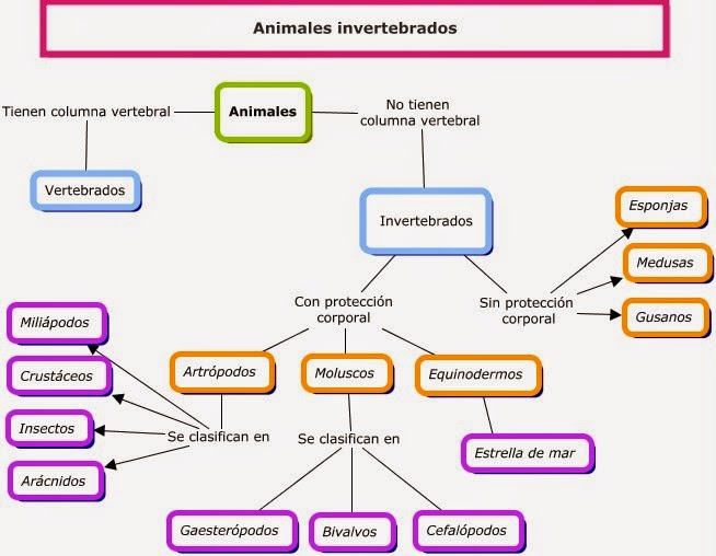 ANIMALES VERTEBRADOS E INVERTEBRADOS: Clasificación de animales ...