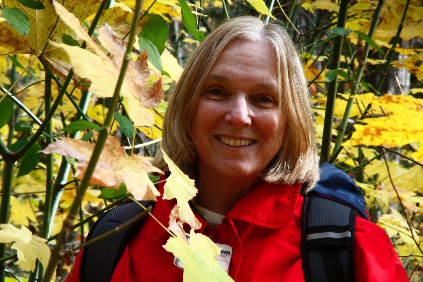 Contra Costa County Office of Education: CCCOE School Nurse, Meg Murray ...