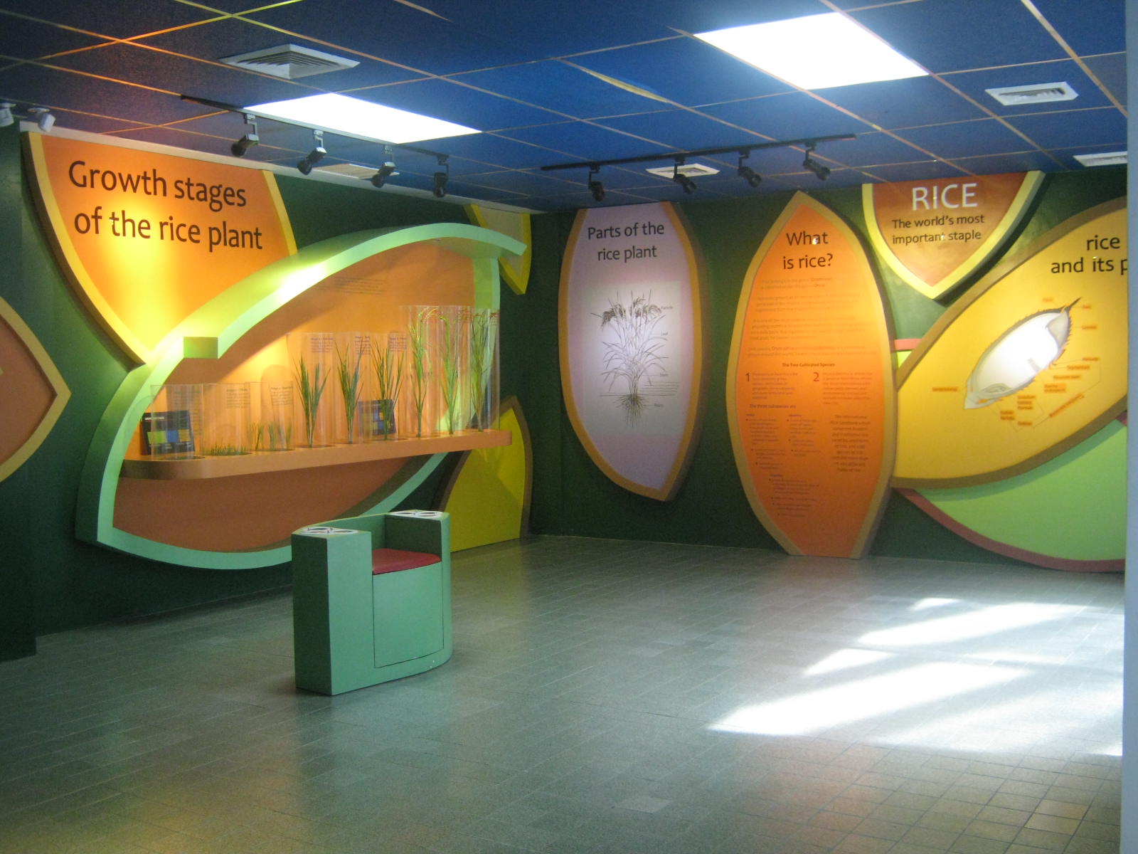 IRRI Riceworld Museum and Learning Center : Everything About Rice ...