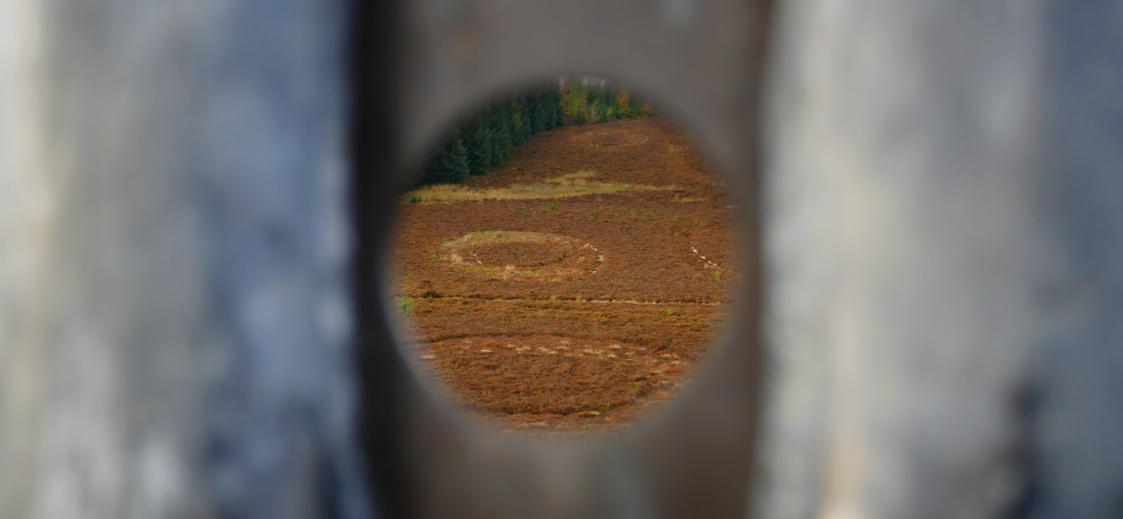 best part of the day: Tweed Valley Ultra Recce and Oct TB