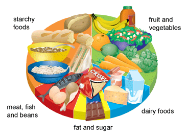 ️ Glow foods examples. BASIC FOOD GROUPS. 2019-02-11