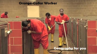 Types of different collar workers clothes and Design- Geography for You ...