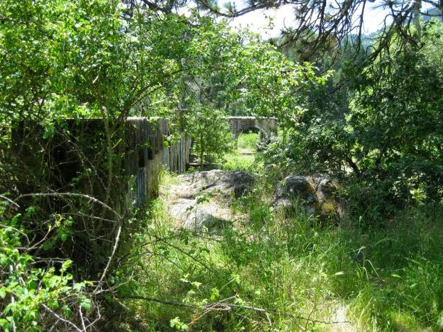 Hiking Sasquatch Country: 2 Ament Dam