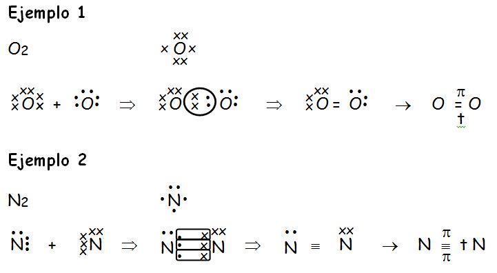 Asesoría de Ciencias Grupo Kepler