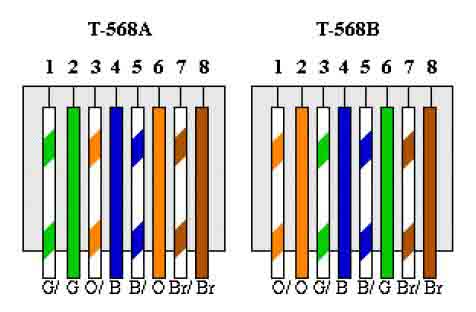 How pairs of UTP cable on RJ-45 connector ~ Jaringan