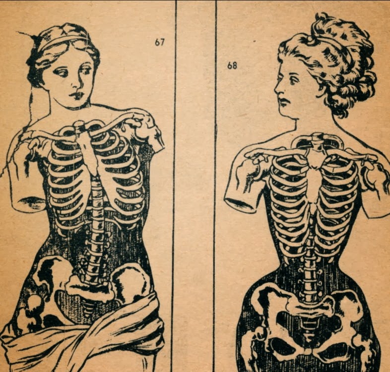 History of Western Civilization through FASHION: #20 - The Gilded Age ...