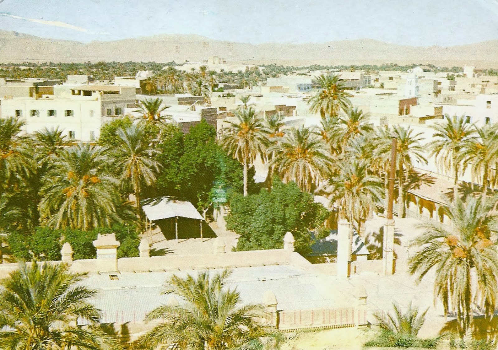 My Favorite Views: Algeria - Biskra