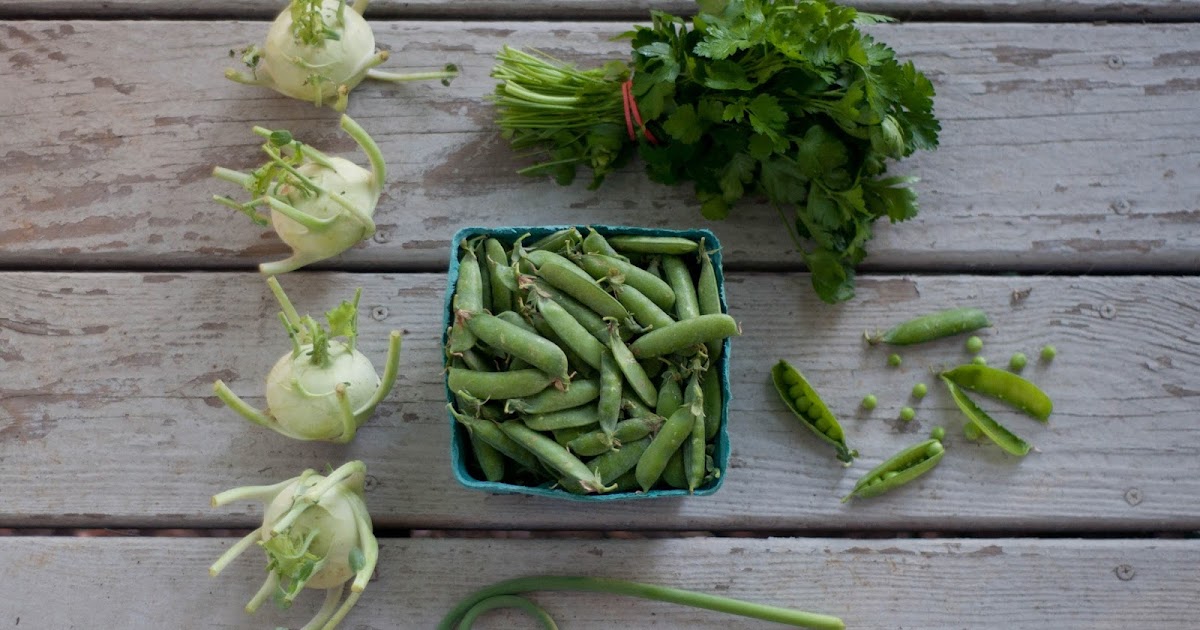 Robson's Farm: June Vegetable Shoot
