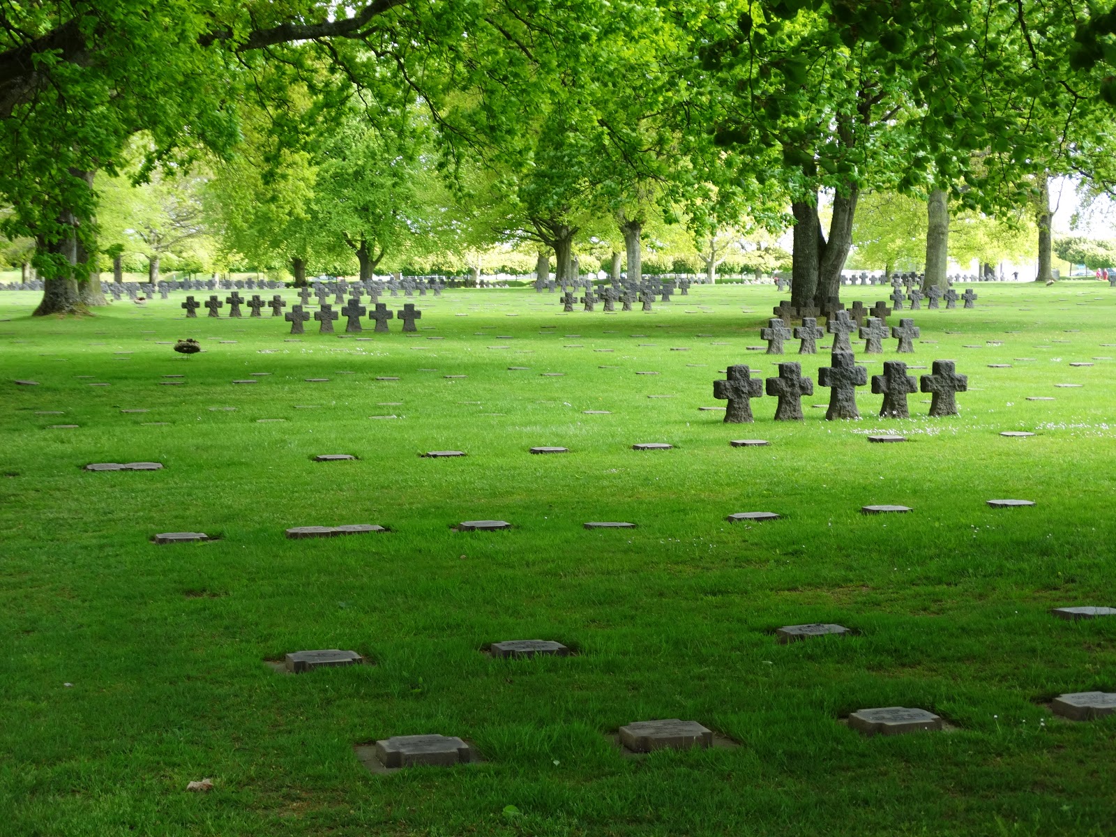 Tour of WW1 and WW2 battlefields: American and German cemeteries