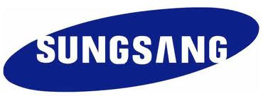 Plesetan Logo Terkenal