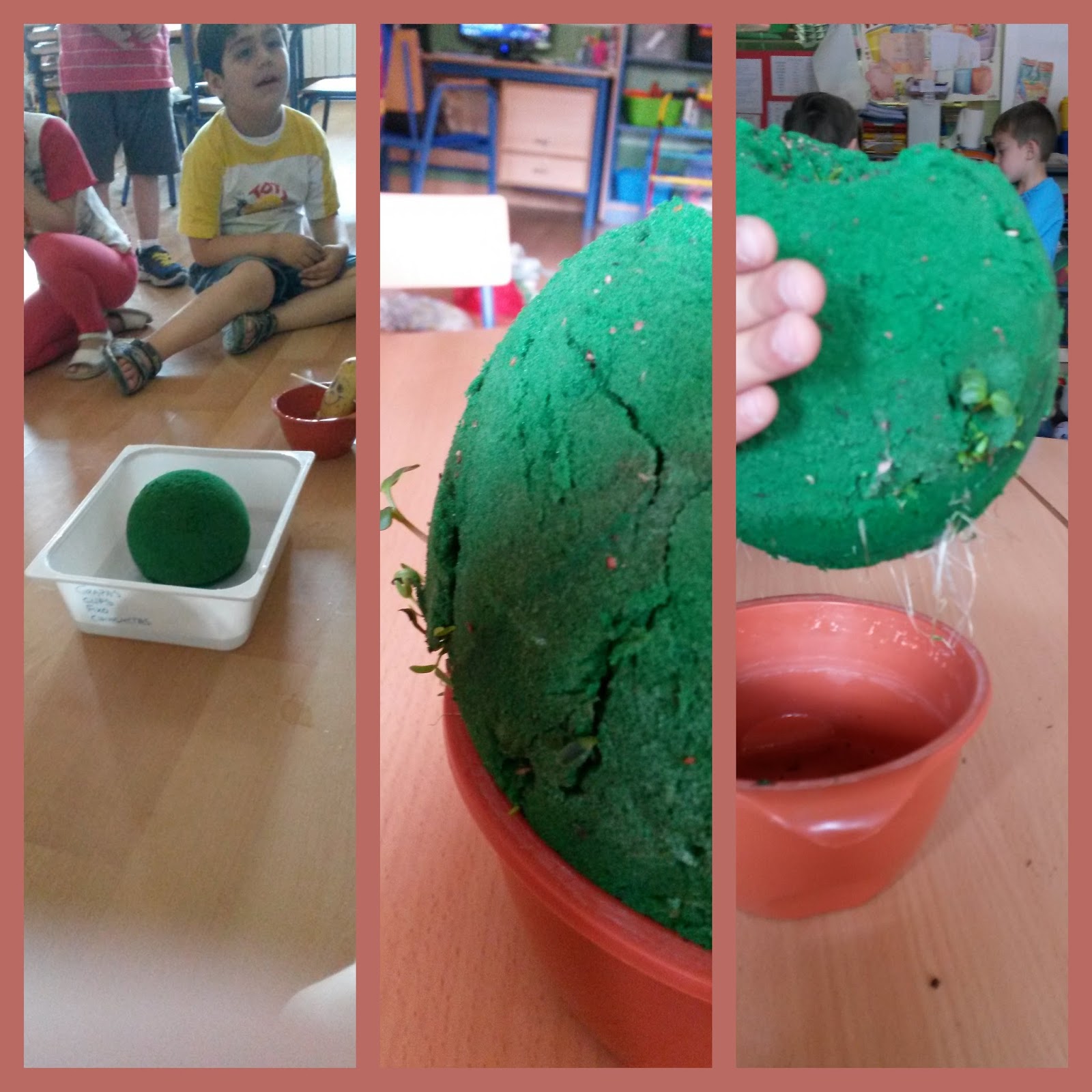 Com Base Nos Experimentos De Plantas De Mendel EDUCA