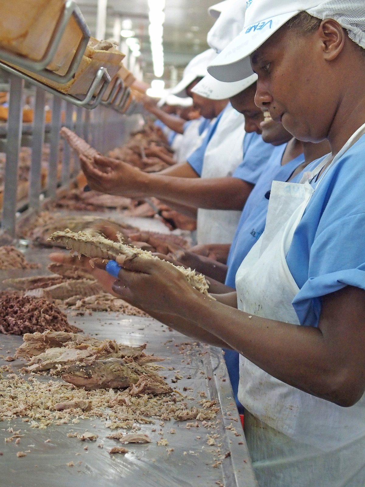 Soltuna Tuna Factory Tour