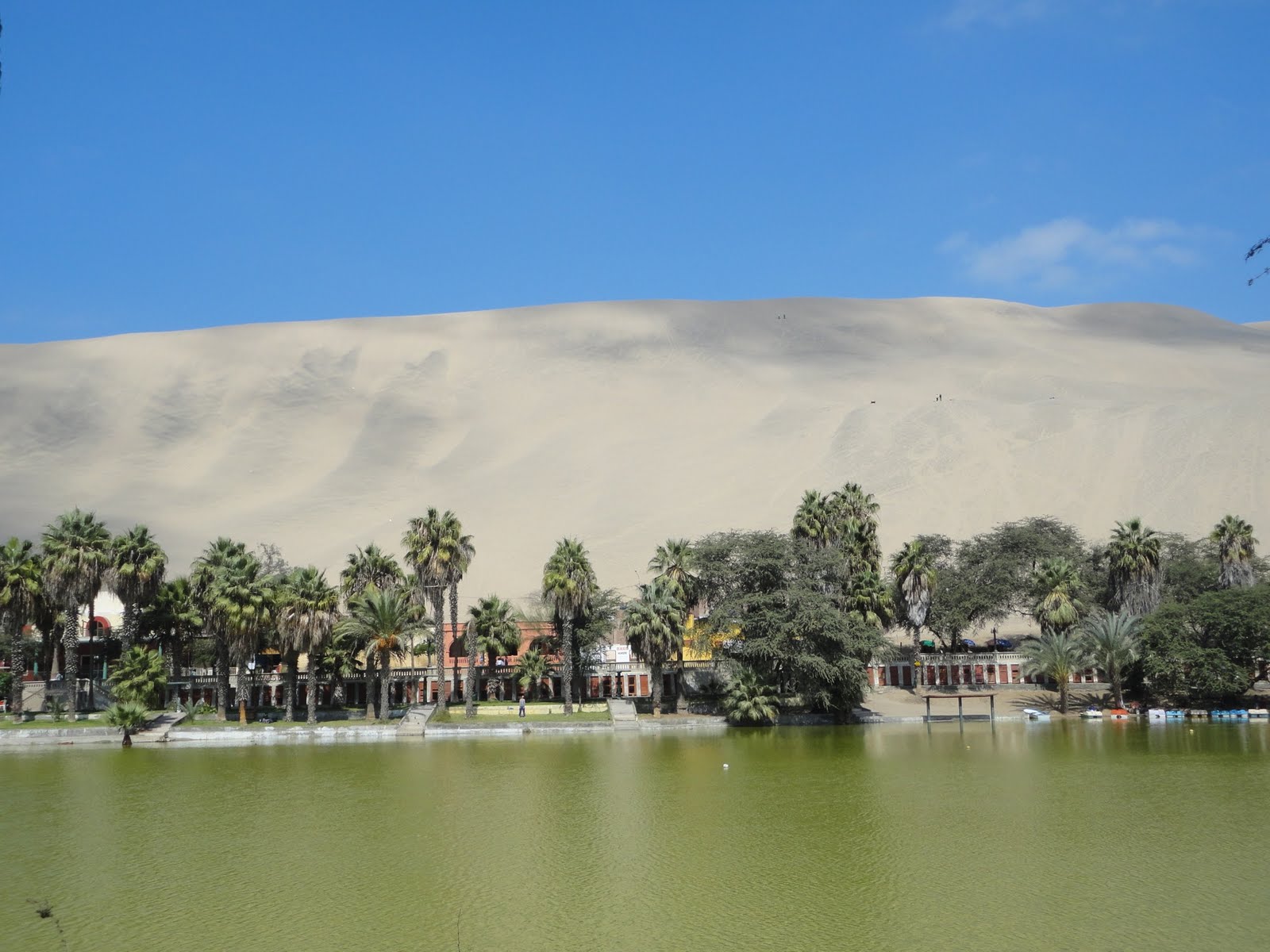 Art Education Journey in Huaycan, Peru: A New Family & the Beauty of ...