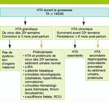Médical & Paramédical : Classification de l'HTA pendant la grossesse