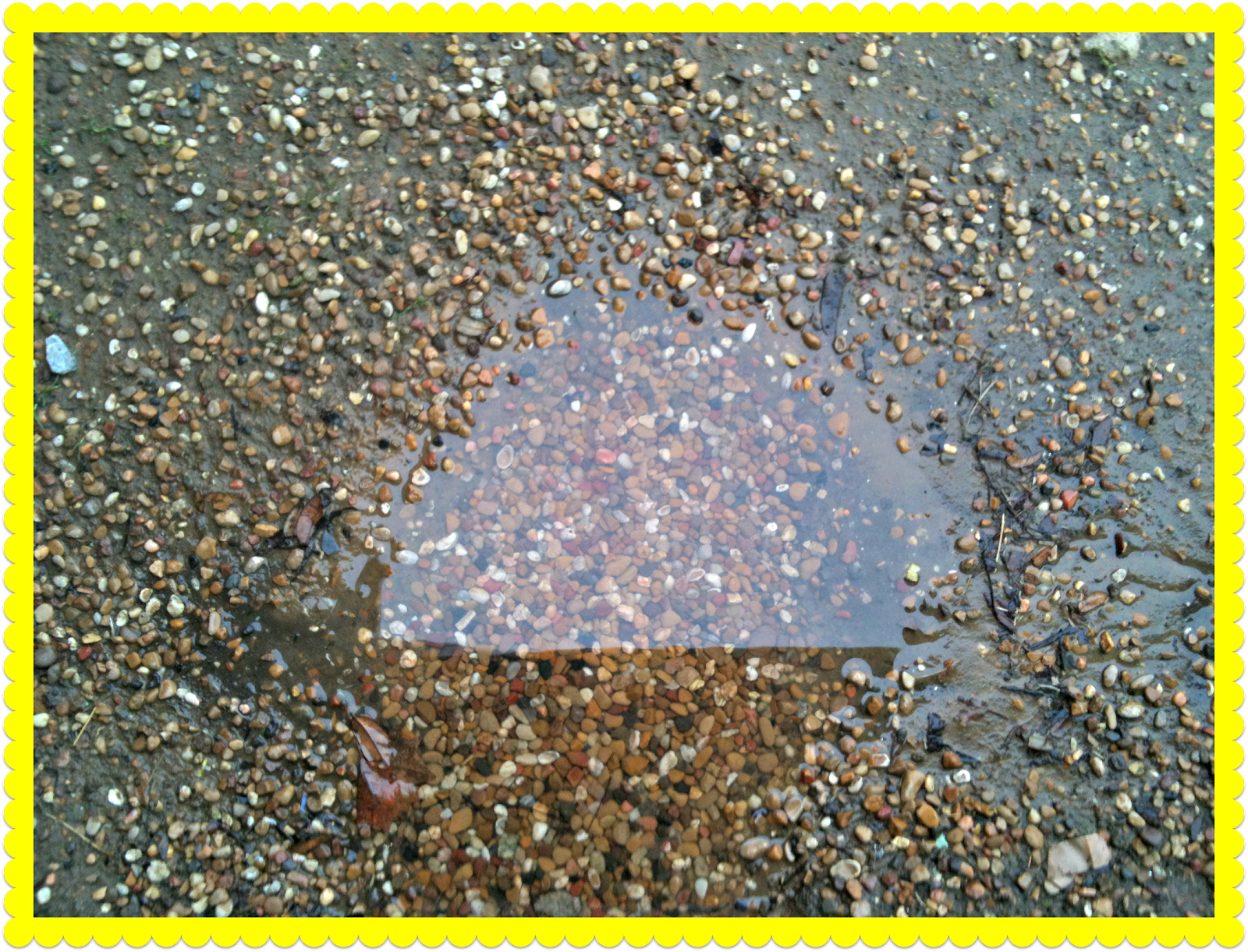Little Miss Hypothesis - Lessons from the Science Lab: Puddles Galore!