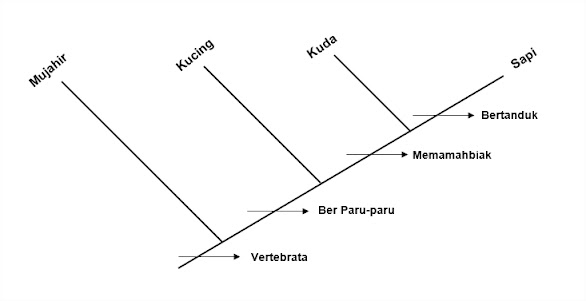 BLOG GURU BIOLOGI SEKUNING BUAH RIMBANG: KLADOGRAM
