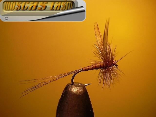 .LA MAGIA DE LA PESCA CON MOSCA: EFEMERAS CON Y SIN HAKLE