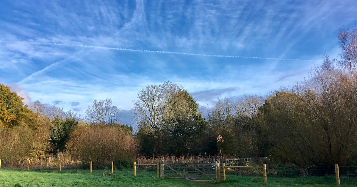Horsham Wildlife: Warnham Local Nature Reserve
