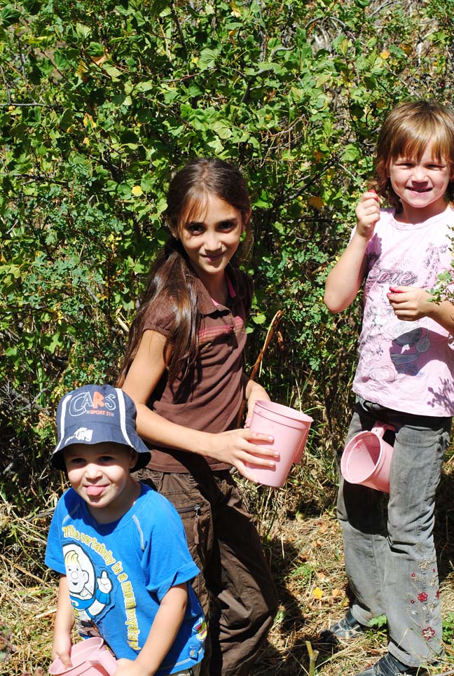 Ls Dasha Anya Set 5 Gallery