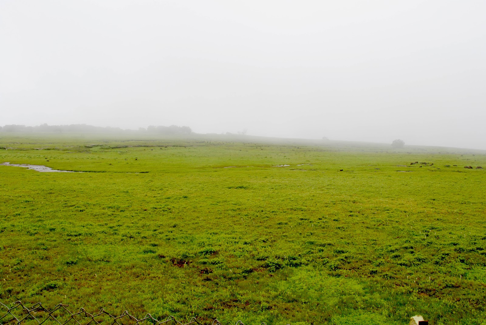 travelogue: Bamnoli - A Drive In The Clouds - August 19, 2012