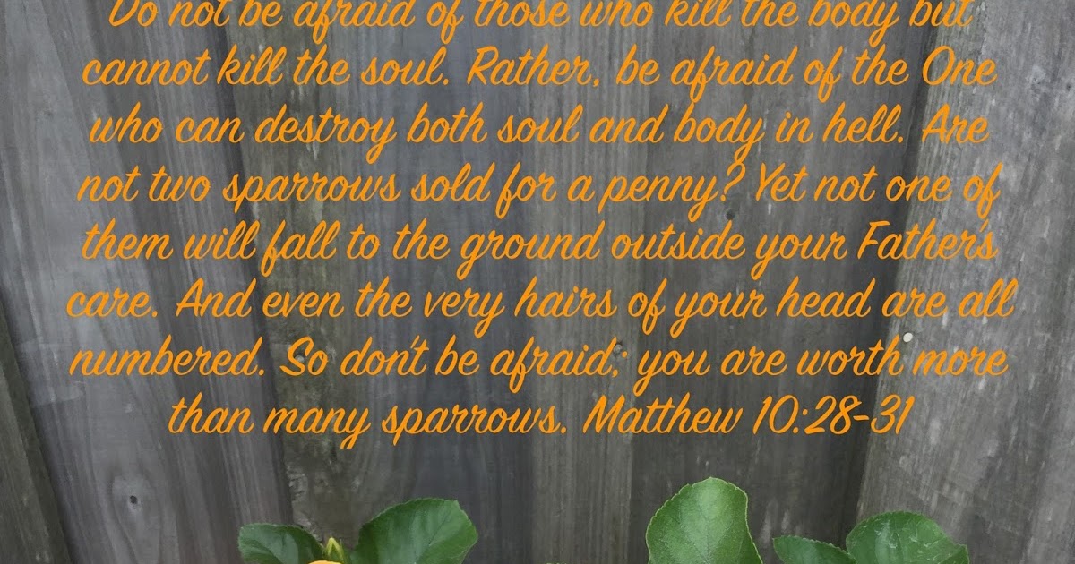 My Strength: Matthew 10:28-31 - "Sparrows"