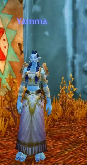 Roleplay Outfits for WoW Private Servers: Race Inspired Wear