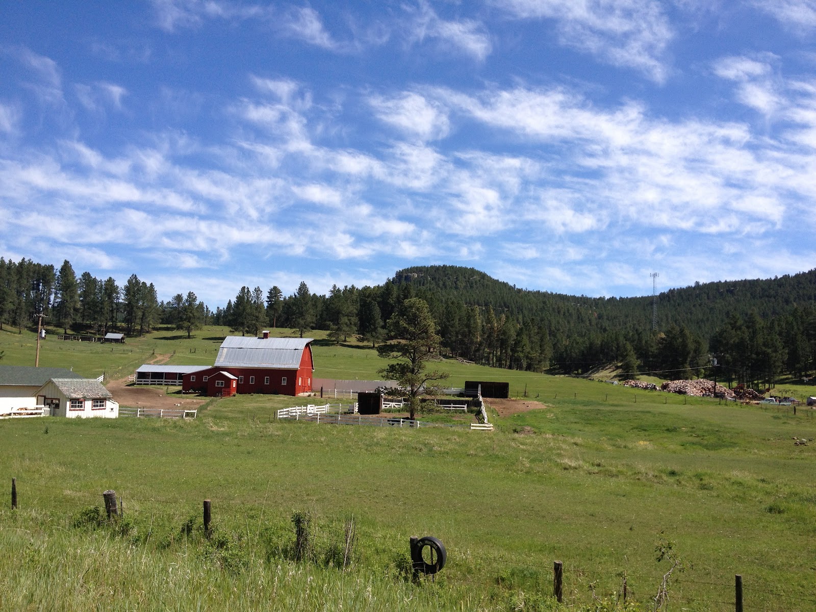 A Trail Runner's Blog: Cruising the Black Hills 100m