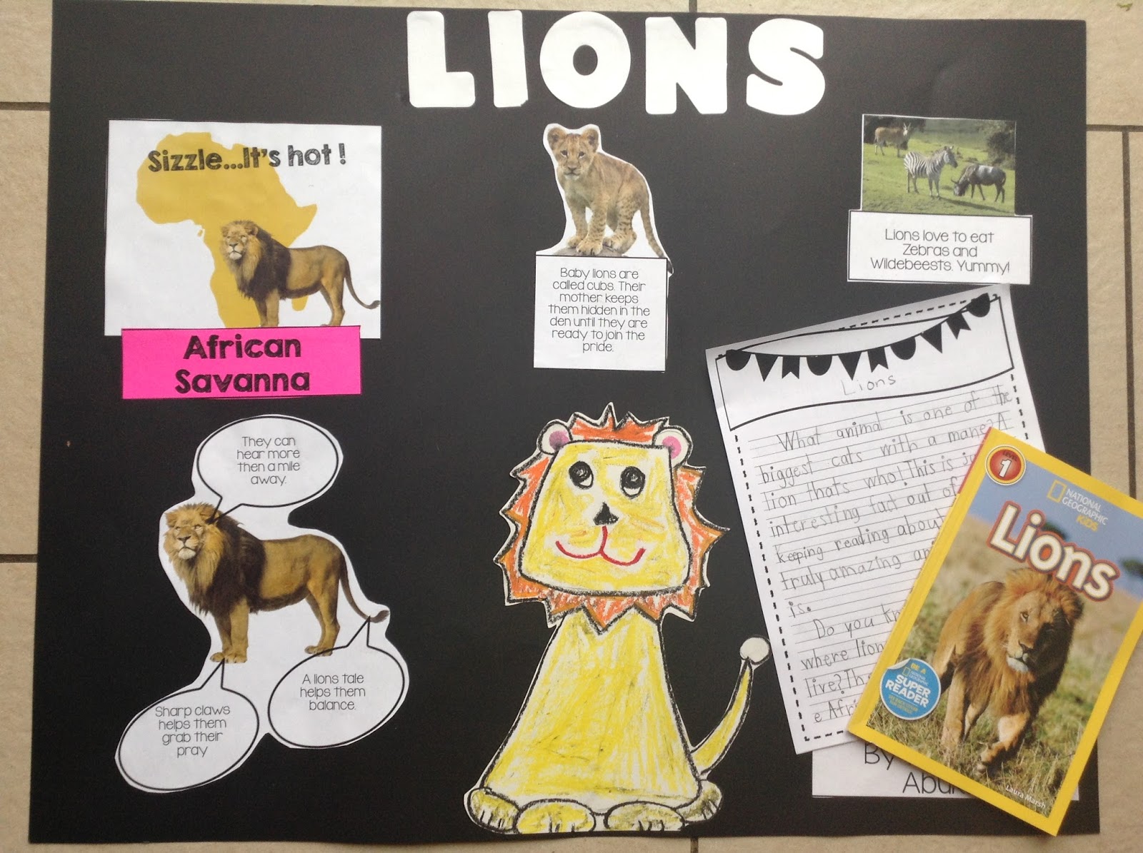 TeacherMomPlus3: Animal Research Project