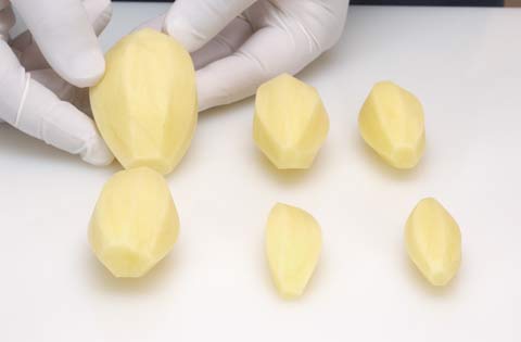 # CHEF HENDI SKINZ #: ANEKA MACAM POTONGAN SAYURAN