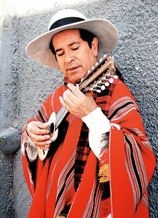 Enciclopedia de Cordófonos: La diversidad del charango