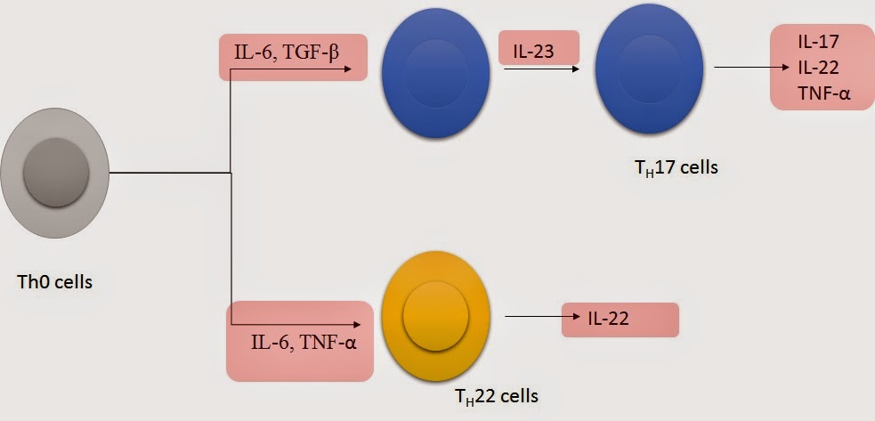 Helper's available...